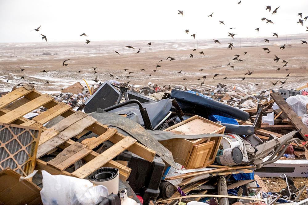 Designing for Longevity: Why Quality Over Quantity Matters in Furniture ...