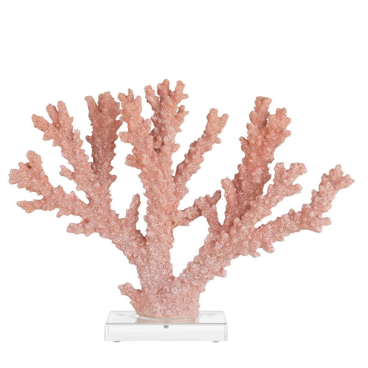 Get Fire Coral Composite Sculpture Elegant Ocean Decor – LOOMLAN