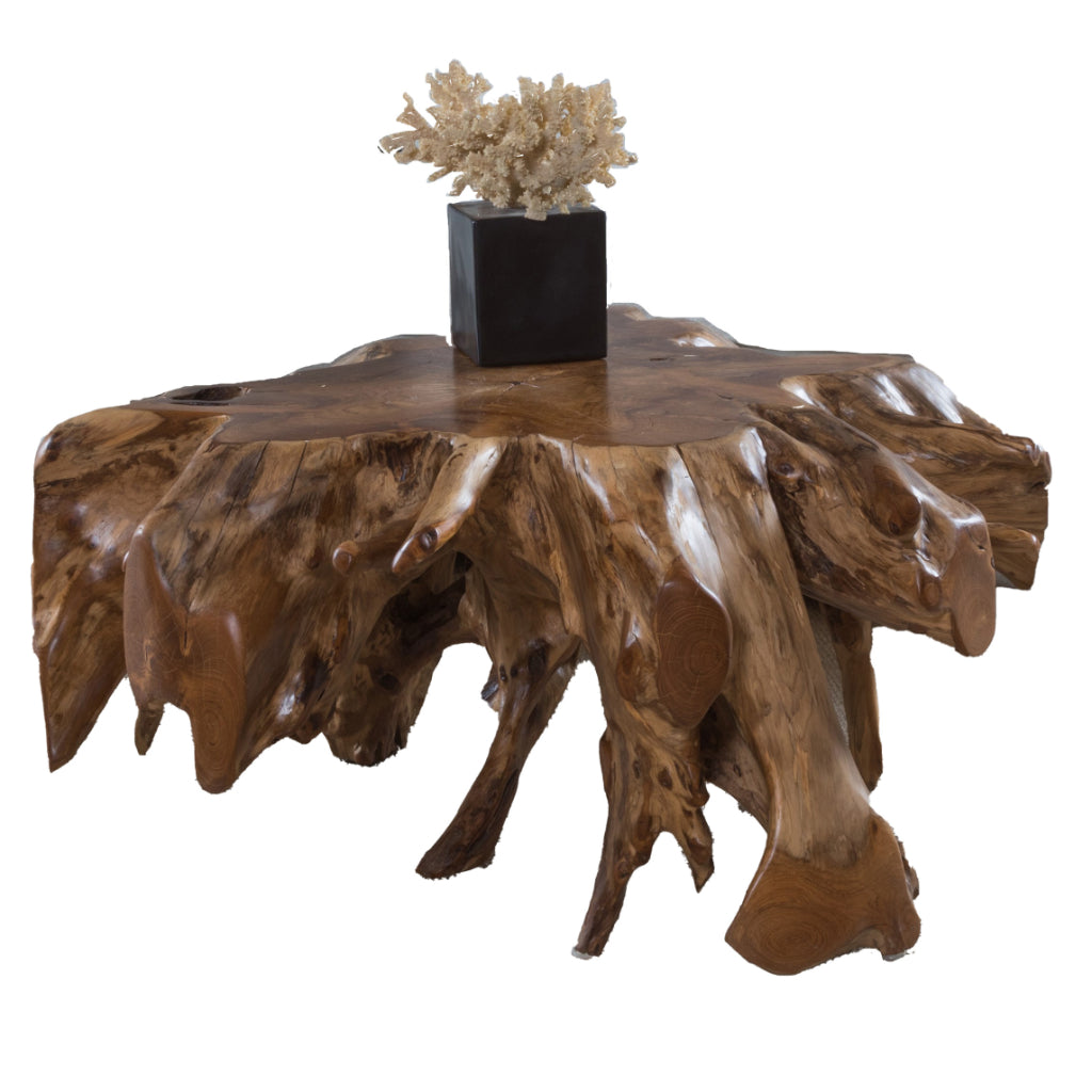Get Organics Teak Root Cocktail Table Unique Art Design – LOOMLAN