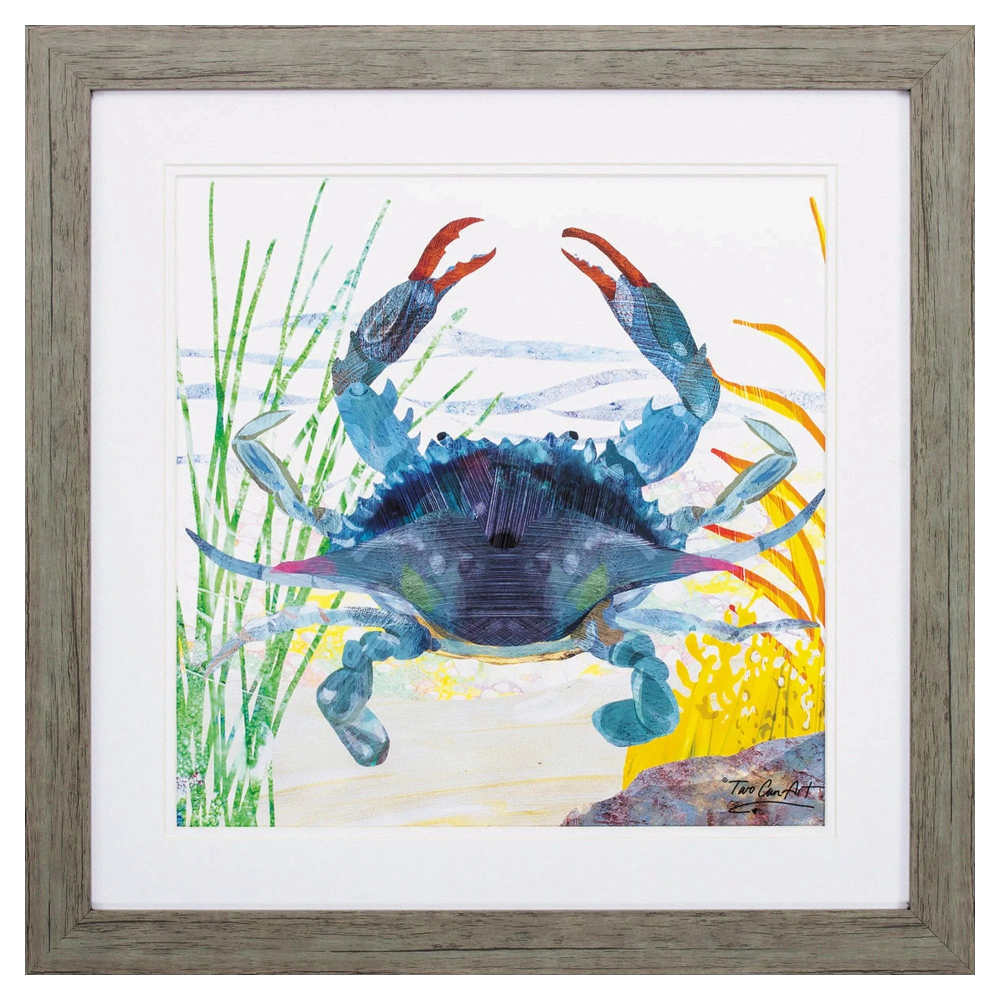 Get Sea Creature Crab Coastal Art With Glass Front – LOOMLAN